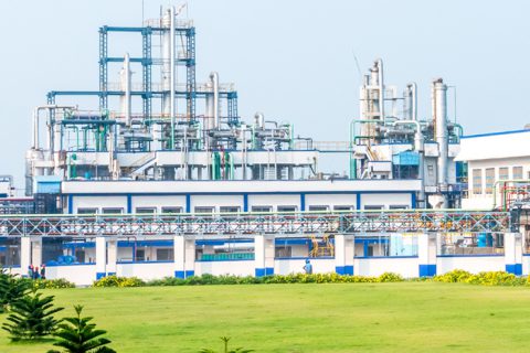 Divis Archives - Equitypandit