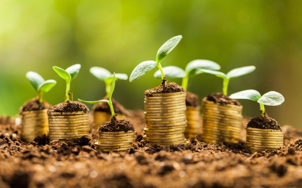 Difference Between Traditional Finance and Behavioural Finance ...