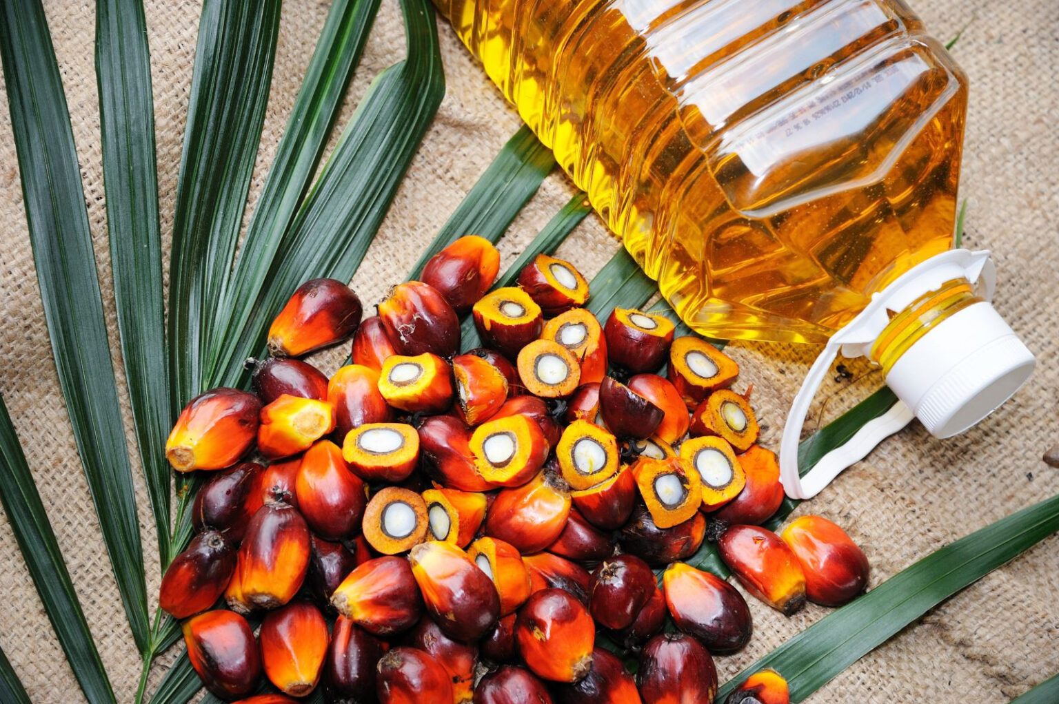 India s June Palm Oil Imports Down 24 Equitypandit India s June Palm Oil Imports Down 24 Equitypandit