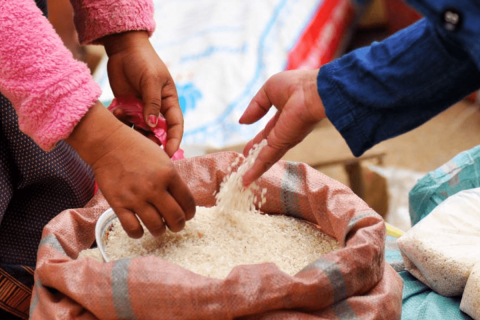 Antyodaya Anna Yojana (AAY) scheme Archives - Equitypandit