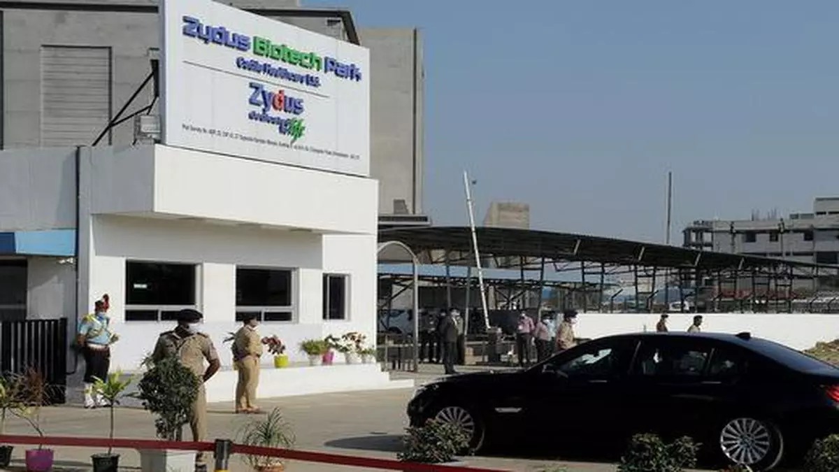 Zydus Lifesciences Share Hits 52-Week High on USFDA Approval for Osteoporosis Drug - Equitypandit